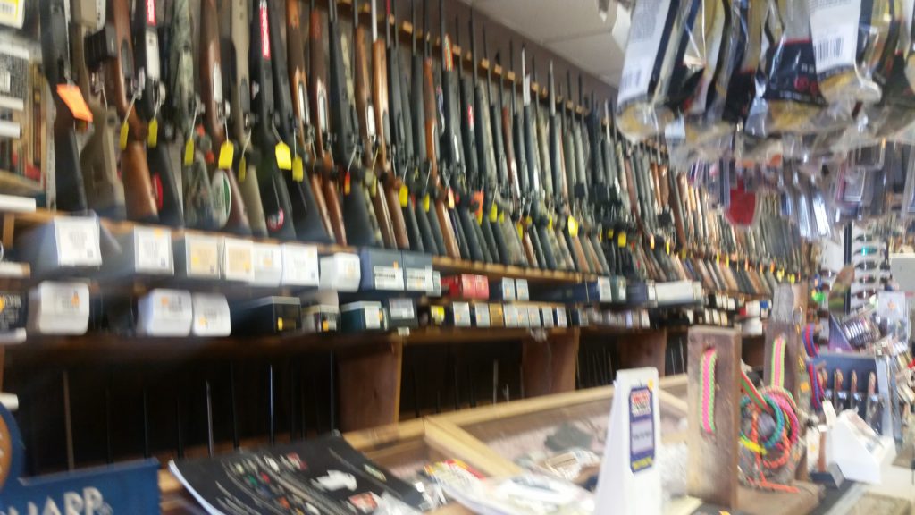 Gun Shop | Gun Shop Guide